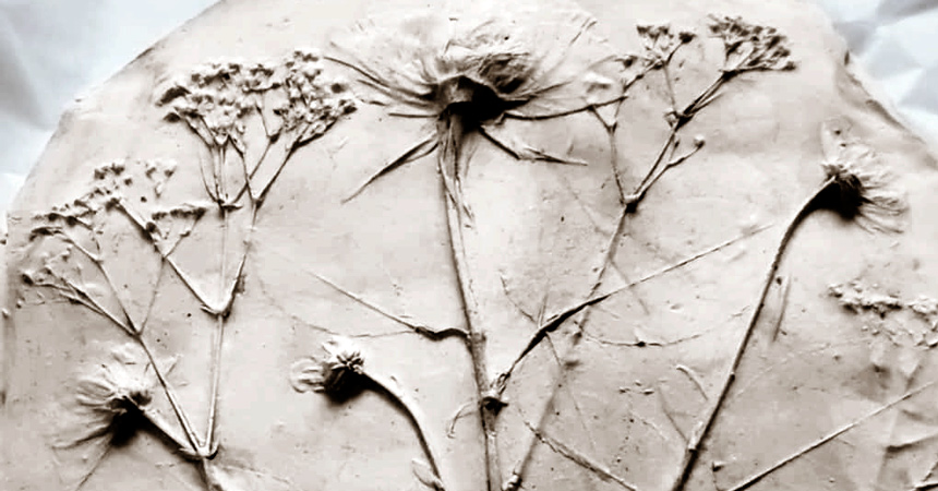 Botanical Bas-Reliefs | pippapixley